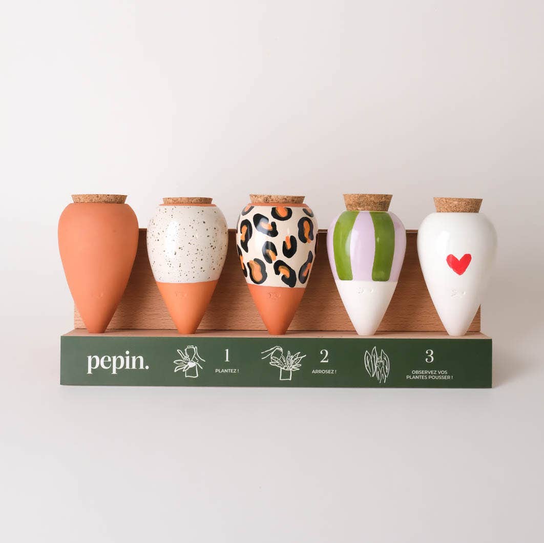 Olla display stand – Stonefruit Botanical